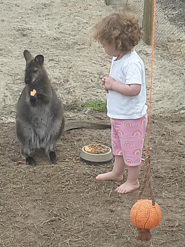 MAZURI Kangaroo & Wallaby Food, 40-lb bag - Chewy.com