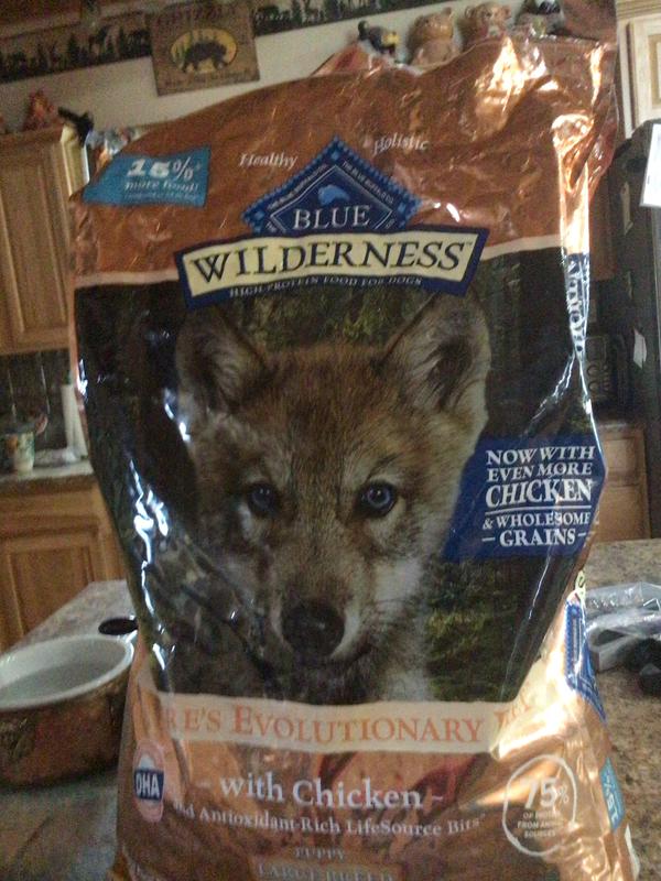 BLUE BUFFALO Wilderness Large Breed Puppy High Protein Natural Chicken ...