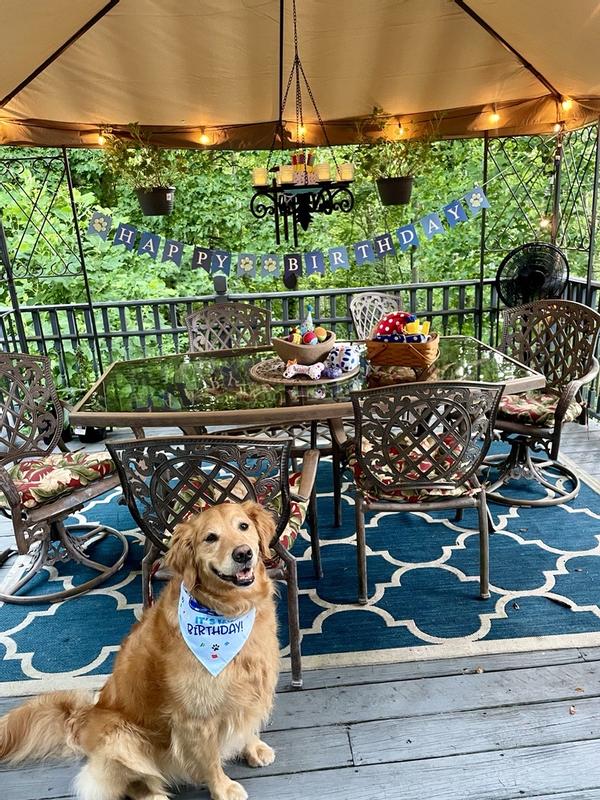 PACIFIC PUPS RESCUE Dog Birthday Party Set, Pink Sparkly Paws, Small ...