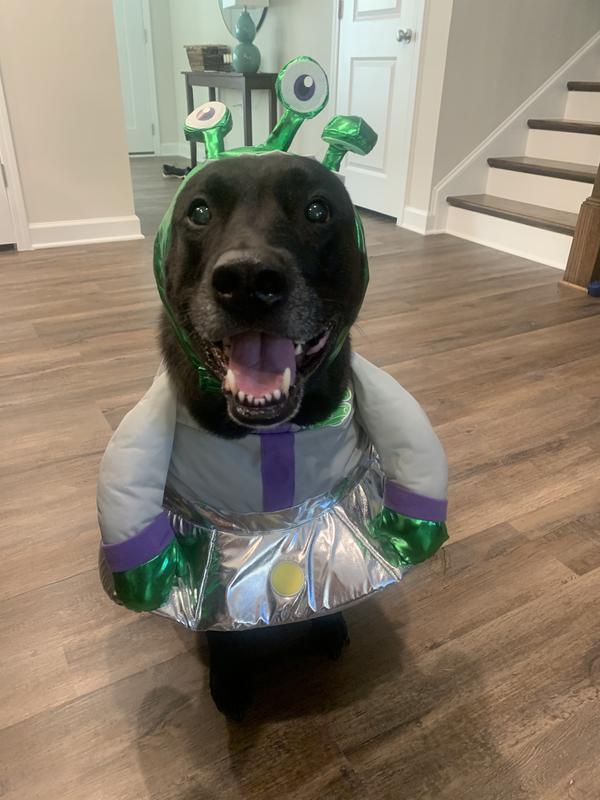 FRISCO Front Walking Alien Dog & Cat Costume, Small - Chewy.com