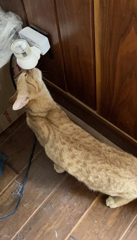 ALZOO Natural Plant Based Plug-In & Refill Kit Cat Calming Diffuser ...