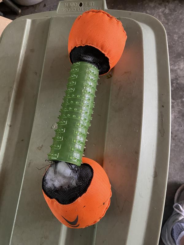 PET LIFE Hoist-a-Fetch Floating Fetch Dental Dog Toy, Orange/Yellow ...