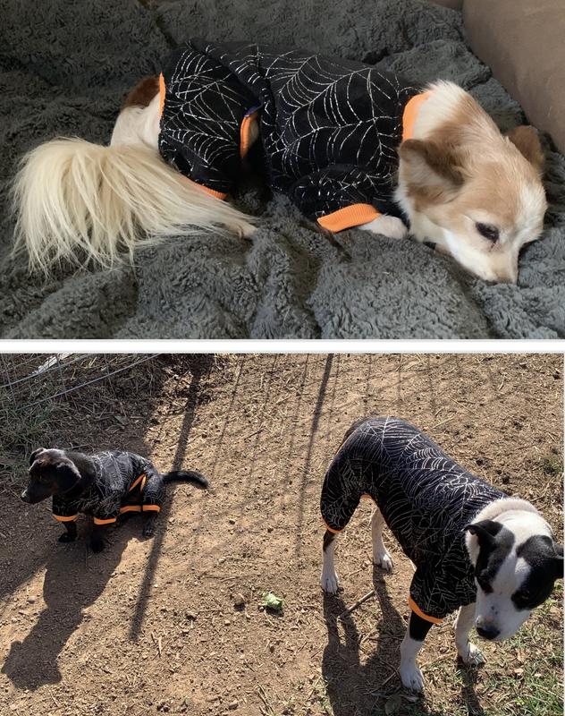 Discontinued - FRISCO Spider Web Dog & Cat Cozy Fleece PJs, X-Large ...