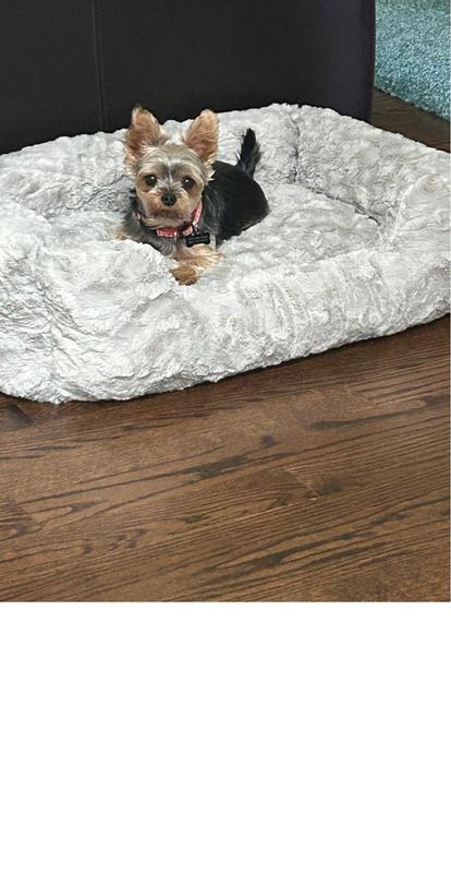 BEST FRIENDS BY SHERI Soothe & Snooze Lounge Lux Memory Foam ...