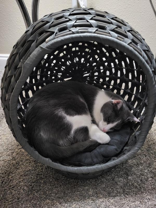 HUNTLEY PET Hemisphere Rattan Elevated with Cushion Dog & Cat Bed, Grey ...