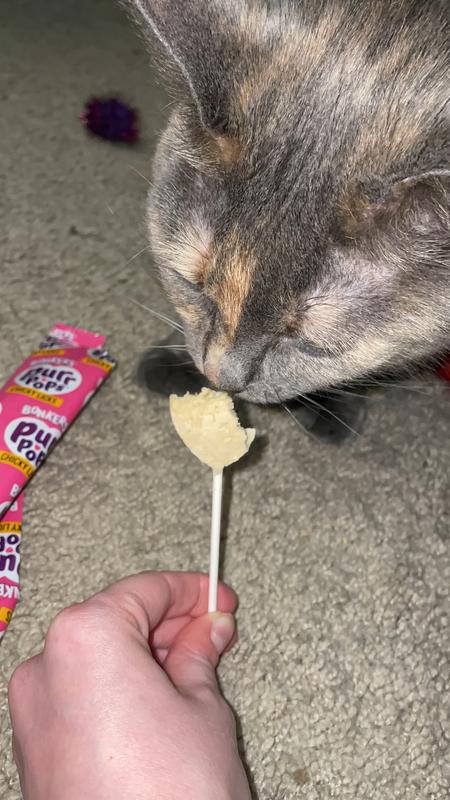 BONKERS Purr Pops Grain-Free Chicky Licks Freeze-Dried Cat Treats, 5.6 ...