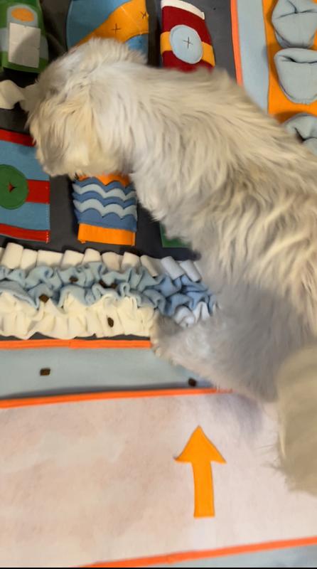 FRISCO Vending Machine Snuffle Mat, Blue, Large - Chewy.com