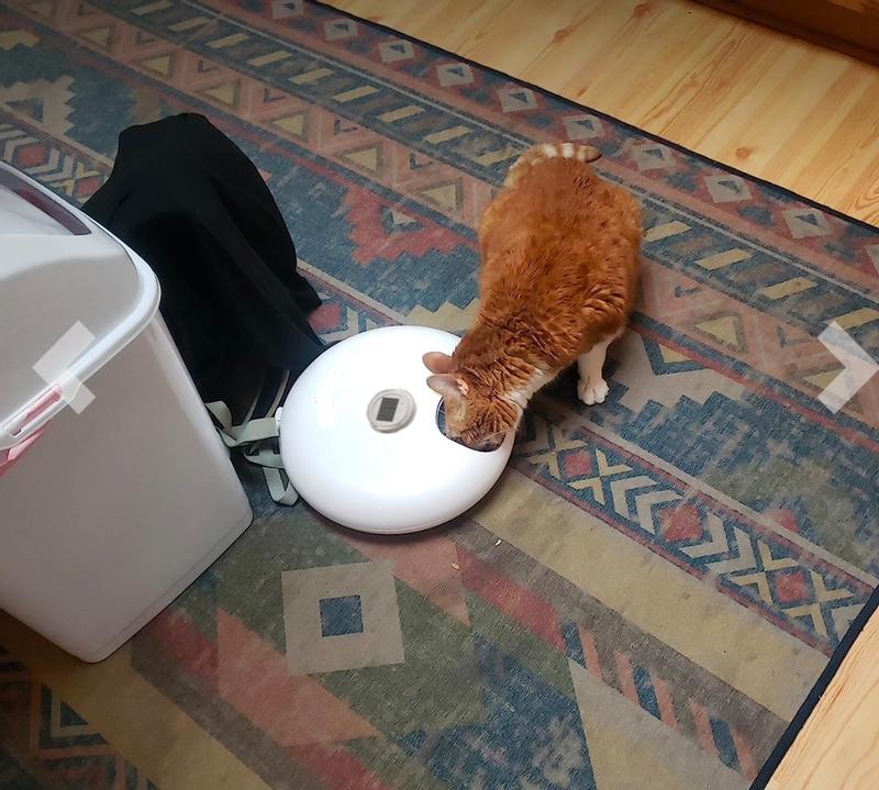 Out of Stock - PATPET Cordless 24 Hour Ice Fresh 6 Meals for Dry & Wet ...