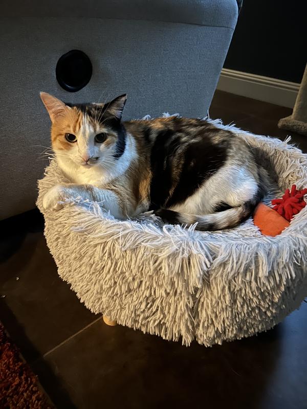 FRISCO Eyelash Fur Round Elevated Cat Bed, Ivory - Chewy.com