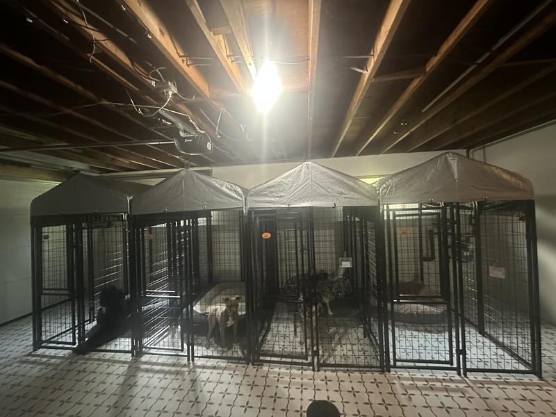 KENNELMASTER Vinyl Coated Welded Wire Boxed Dog Kennel, Black, 6-ft x 4 ...