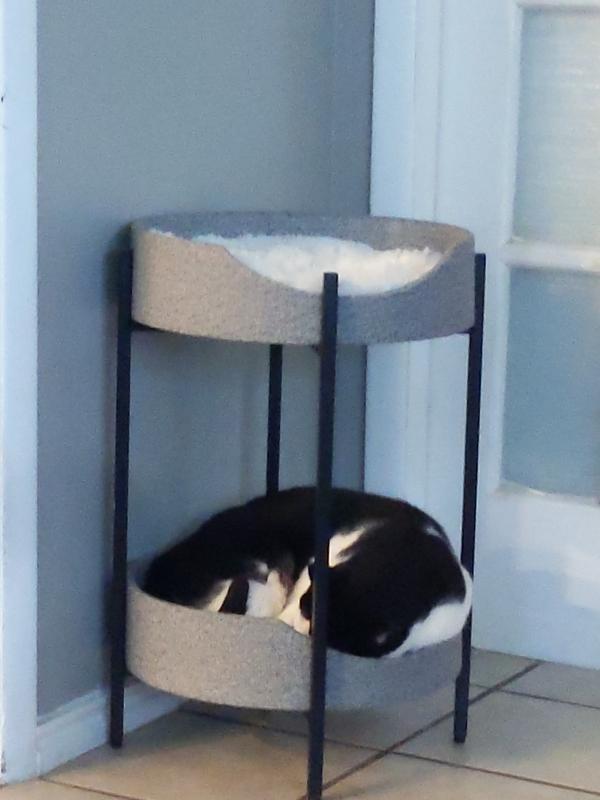 FRISCO Elevated Modern Wrought Iron Cat Bed with Long Faux Fur Cushion ...
