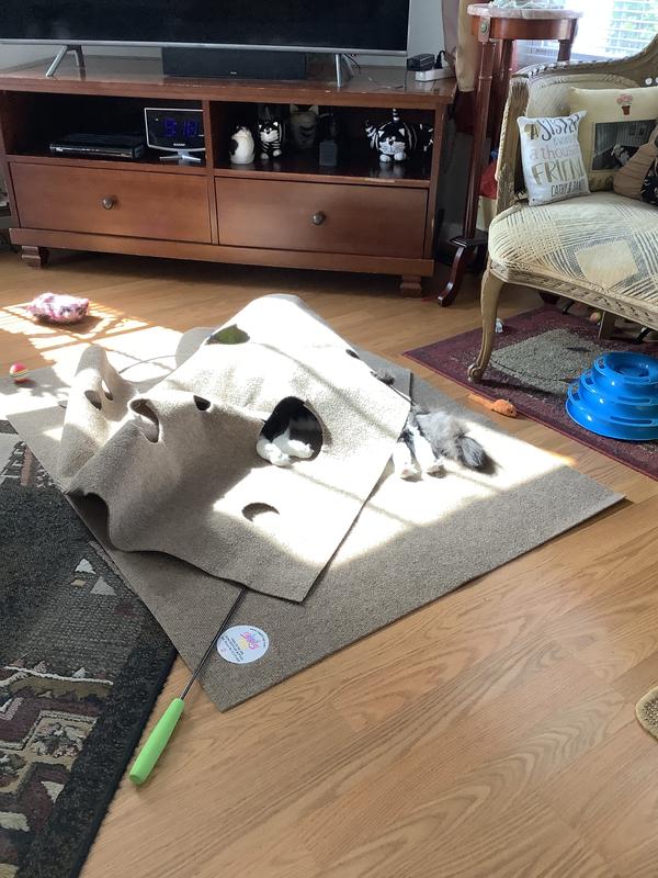 SNUGGLYCAT Ripple Rug Cat Activity Play Mat - Chewy.com