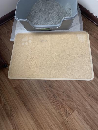 PET MAGASIN Cat Litter Mats, 2-pack, Small - Chewy.com