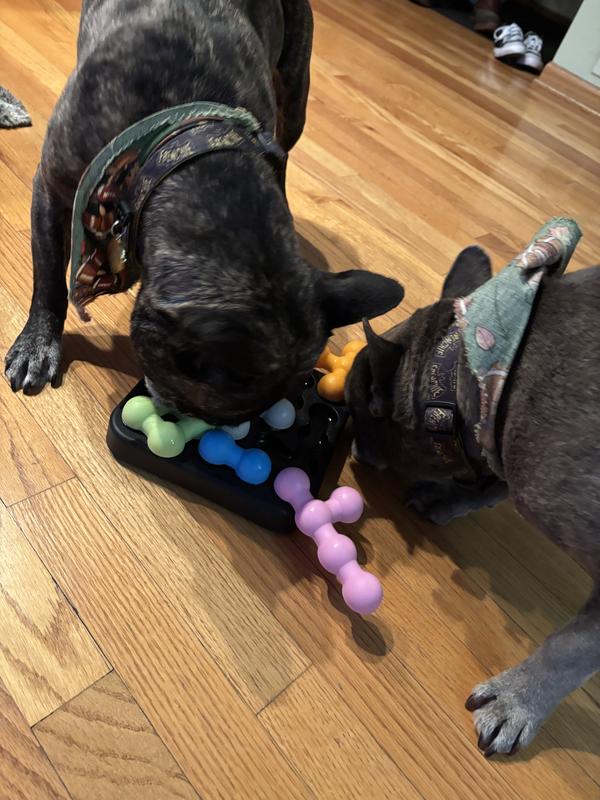 BRIGHTKINS Kanoodle Puzzle Dog Toy, Large - Chewy.com