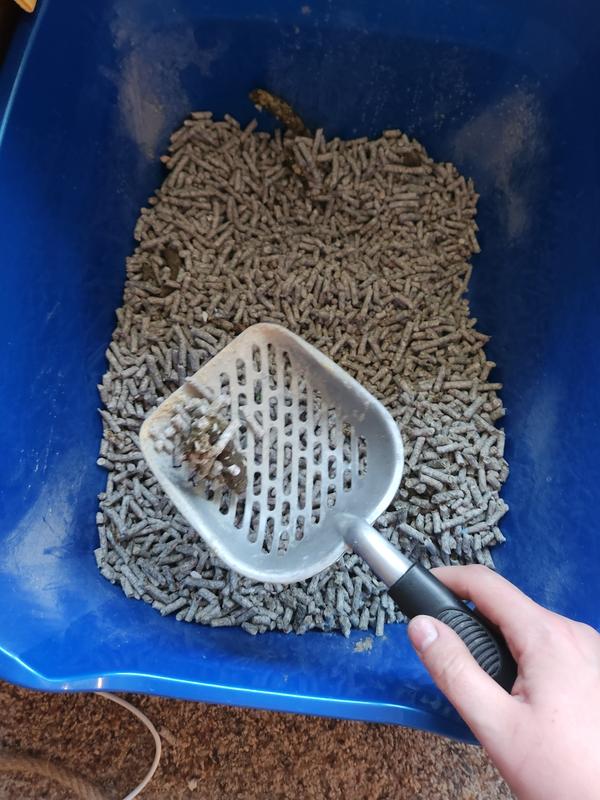 FRISCO Fresh Scented Non-Clumping Recycled Paper Cat Litter, 25-lb bag ...