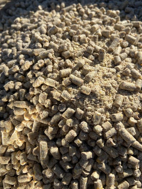 NUTRENA Nature Smart Organic Layer Feed Layer 16% Protein Pellet ...