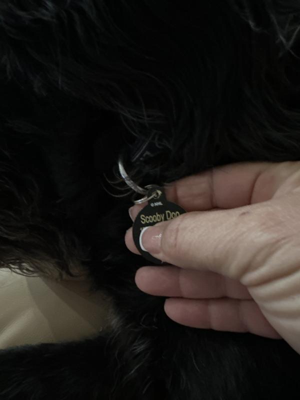 QUICK-TAG NHL Circle Personalized Dog & Cat ID Tag, Large, Boston ...