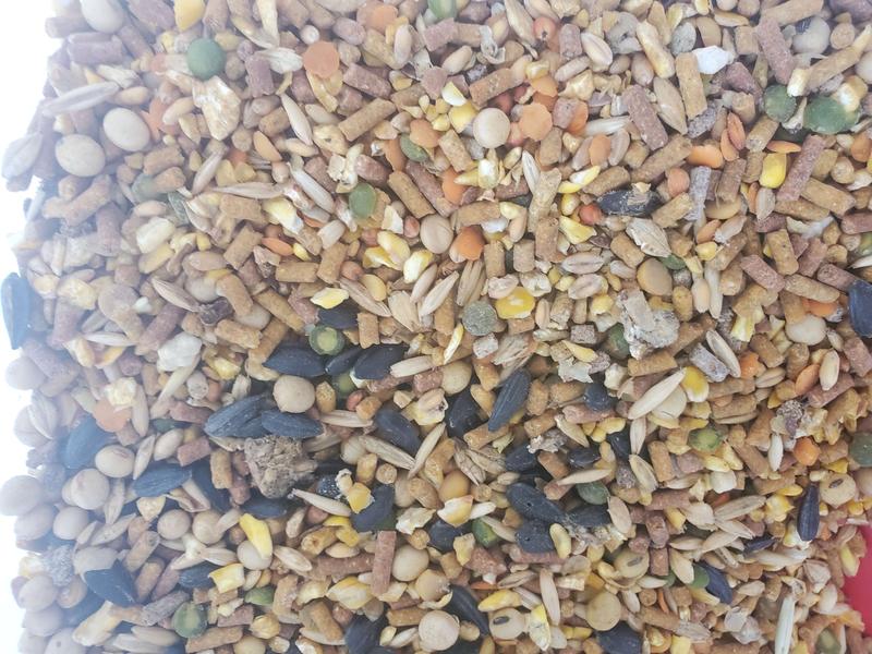 KALMBACH FEEDS All Natural Henhouse Reserve 17% Protein Premium Layer ...
