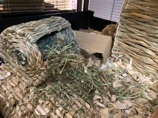 OXBOW Timothy Club Small Animal Hideout - Chewy.com