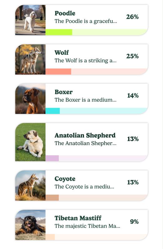 ANCESTRY Breed Identification Dog DNA Test Kit - Chewy.com