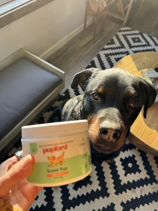 PUPFORD Super Pup Single Tub Dog Food Topping, 60-g tub - Chewy.com