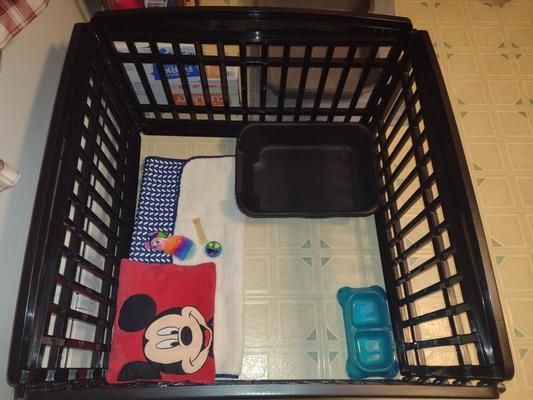 PUPPY PAN Dog Litter Pan, Large - Chewy.com