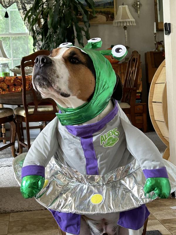 FRISCO Front Walking Alien Dog & Cat Costume, XX-Large - Chewy.com