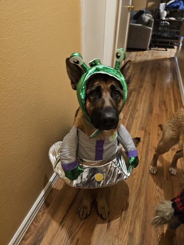 FRISCO Front Walking Alien Dog & Cat Costume, Small - Chewy.com