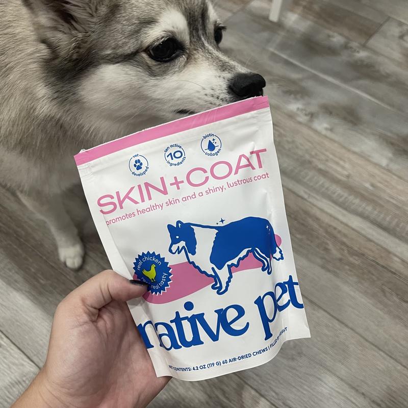 NATIVE PET Skin & Coat Chews with Omega-3 Dry Skin Supplement for Dogs ...