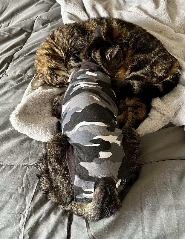 SUITICAL Recovery Suit Cat Apparel, Tiger Print, Small - Chewy.com