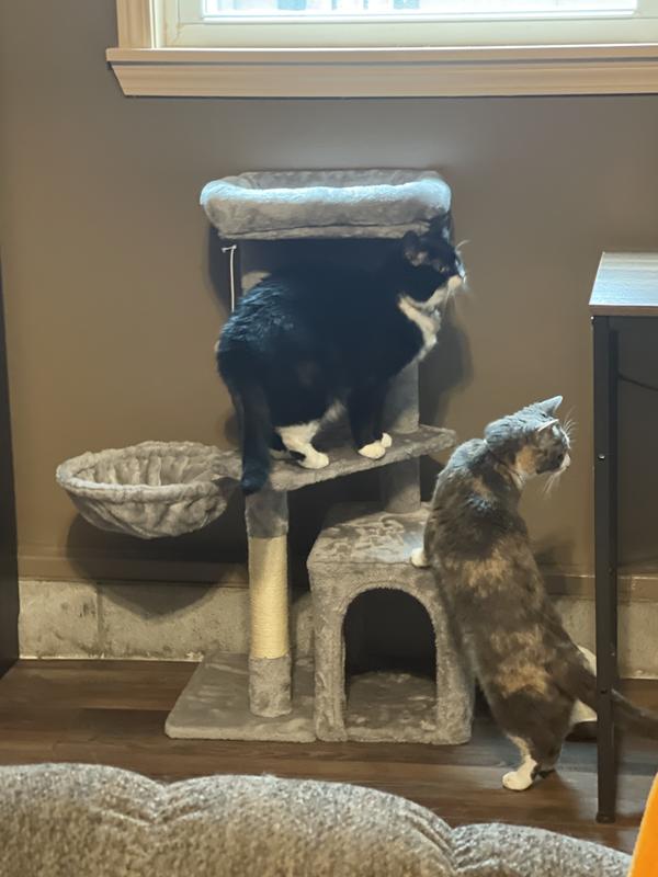 Out of Stock - YAHEETECH 34.5-in Plush Cover Cat Tree, Beige - Chewy.com