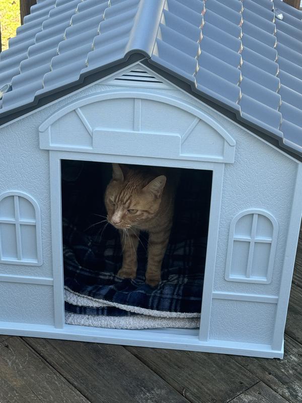 FRISCO Plastic Outdoor Dog House, Large - Chewy.com