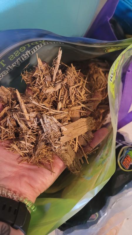 GALAPAGOS Cypress Tank-Mulch Natural Cypress Reptile Bedding, 24-qt bag ...