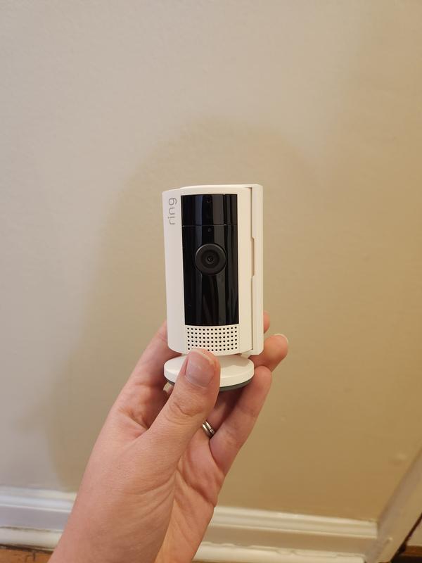 RING 2nd Generation Indoor Camera Pet Tag Bundle, White - Chewy.com