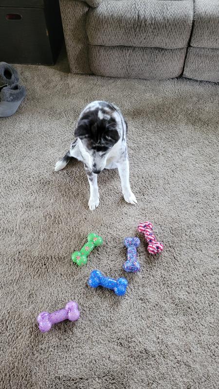 FRISCO Birthday TPR Fetch Bone Squeaky Dog Toy, Small/Medium, 2 count ...