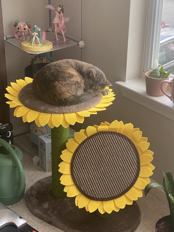 FRISCO Sunflower Cat Scratching Post, Two Posts with Lounger - Chewy.com