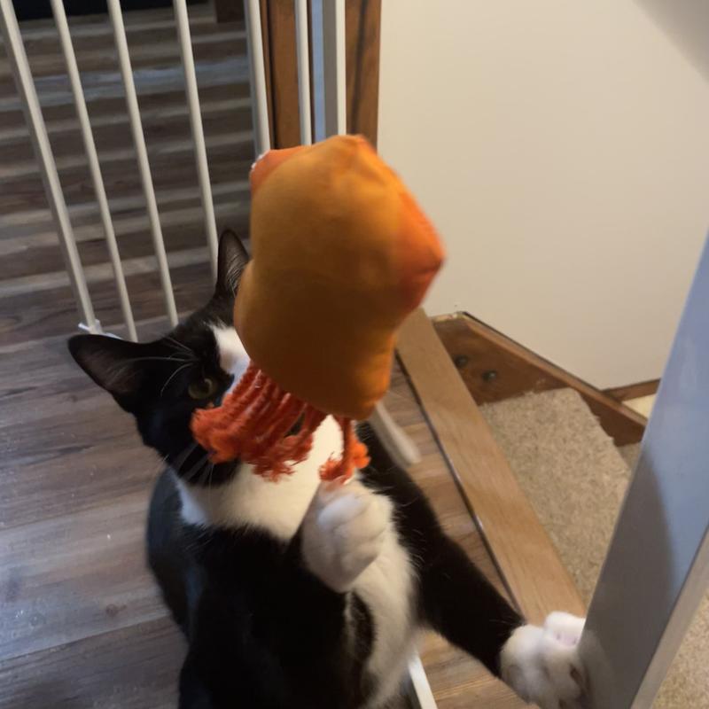 MEOWIJUANA Jump 'n' Jamb Deep Sea Squid Refillable Swinging Door Jamb ...