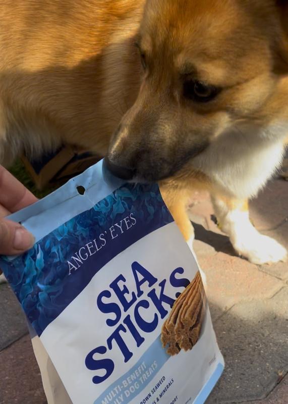 ANGELS' EYES Sea Sticks Multi Benefit Daily Adult Crunchy Dog Treats ...