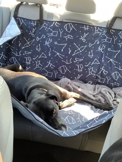 MOLLY MUTT Rocketman Multi-Use Cargo, Hammock & Car Seat Cover - Chewy.com