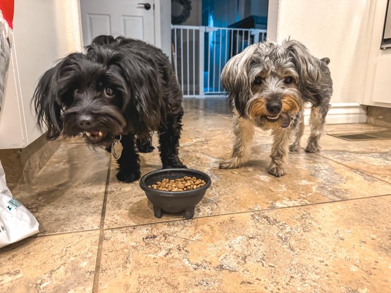 NUTRO Ultra Adult Small Breed Trio of Proteins High Protein Chicken ...