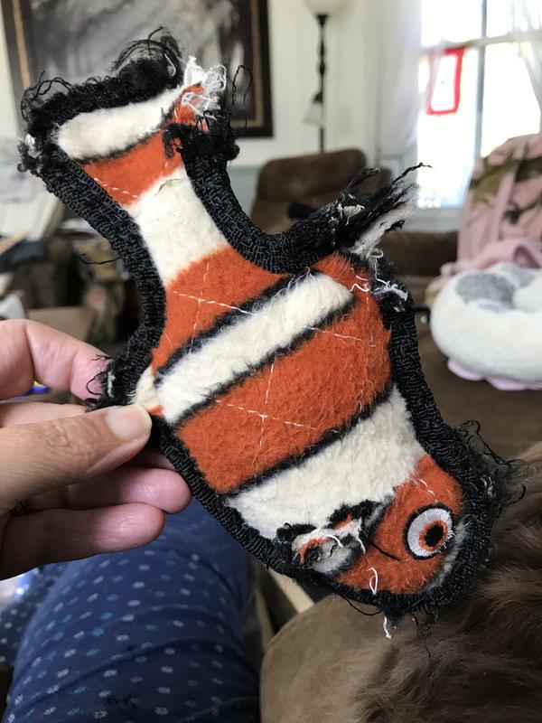 TUFFY'S Ocean Creature Jr Fish Squeaky Plush Dog Toy, Orange - Chewy.com