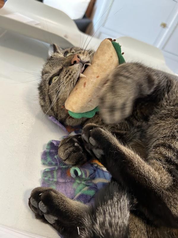 FRISCO Taco Plush Cat Toy with Catnip, 2 count - Chewy.com