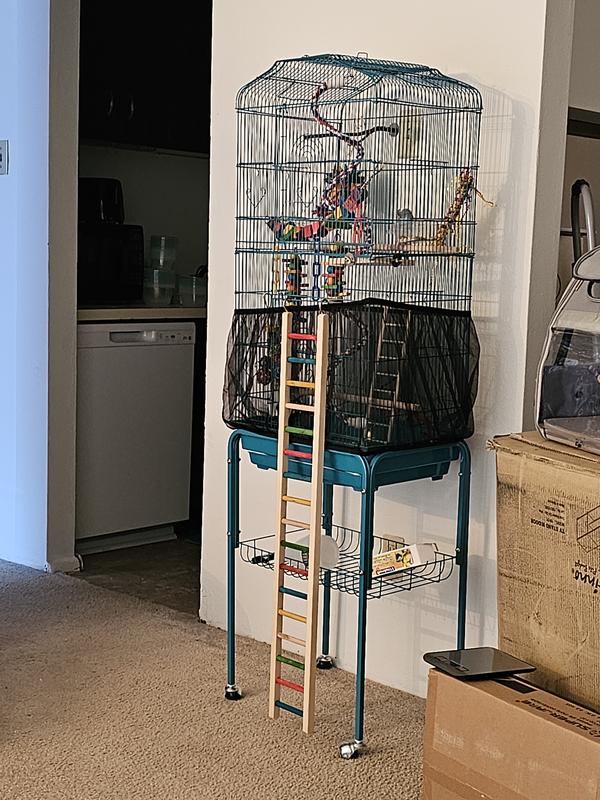 CAITEC Cockatiel Ladder, 18-in - Chewy.com