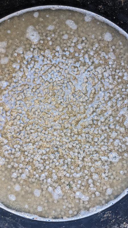 NUTRENA Empower Boost Horse Supplement, 40-lb bag - Chewy.com