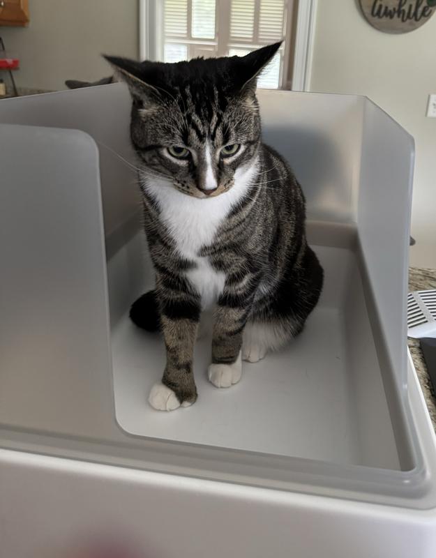 TUFT + PAW Cove Modern Cat Litter Box with Dustpan & Litter Scoop ...