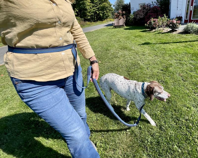 RUFFWEAR Roamer Polyester Running Traffic-Handle Dog Leash, Orion Blue ...