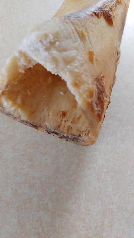 BONES & CHEWS Made in USA Roasted Marrow Bone 6" Dog Treat - Chewy.com