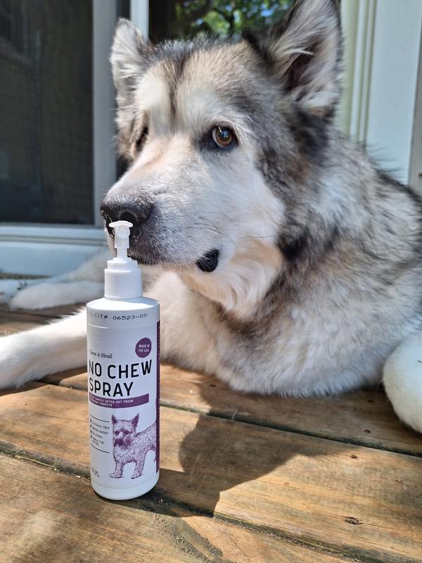 CHEW + HEAL No Chew Dog & Cat Spray, 8-fl oz bottle - Chewy.com