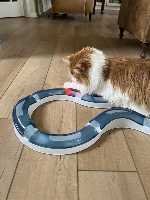 CATIT Design Senses Circuit Cat Toy, Play - Chewy.com