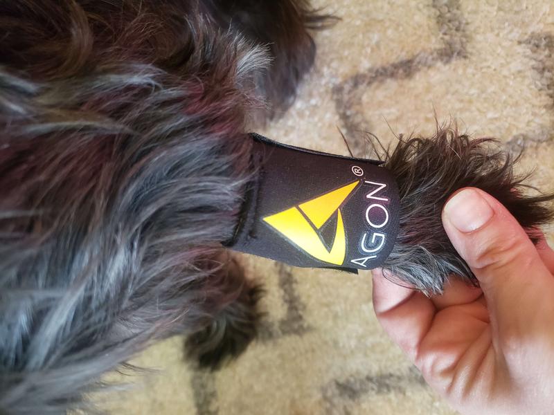 AGON Front Leg Brace & Wound Protection Paw Compression & Wrap for Dogs ...